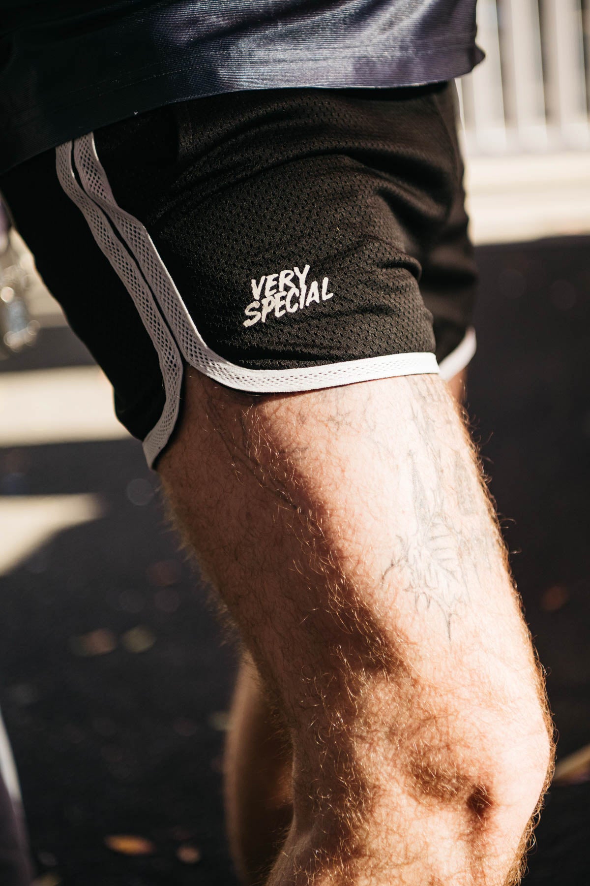 Mocha Classic Scallop Shorts Something Very Special